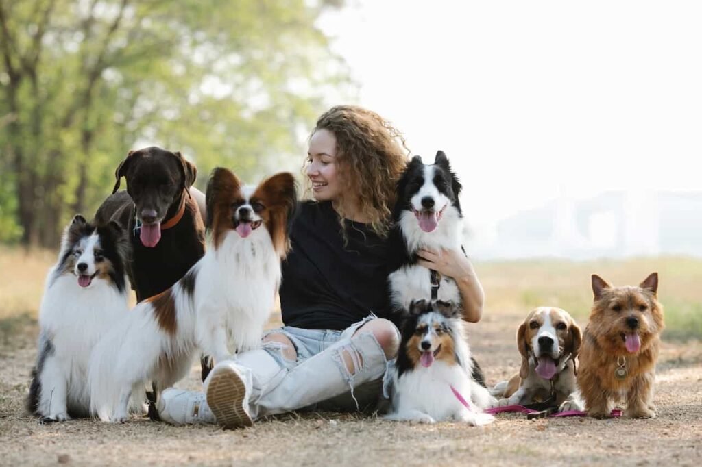 Dogs Breeds and Types and Their Characteristics? - Caring Claw